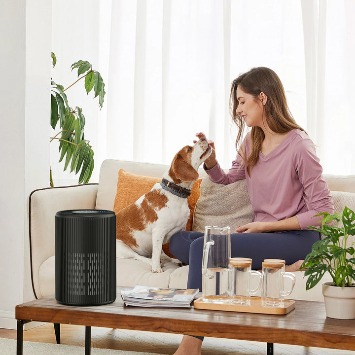 AirFire: Breathe Clean, Live Fresh – Perfect Air & Humidity Control!