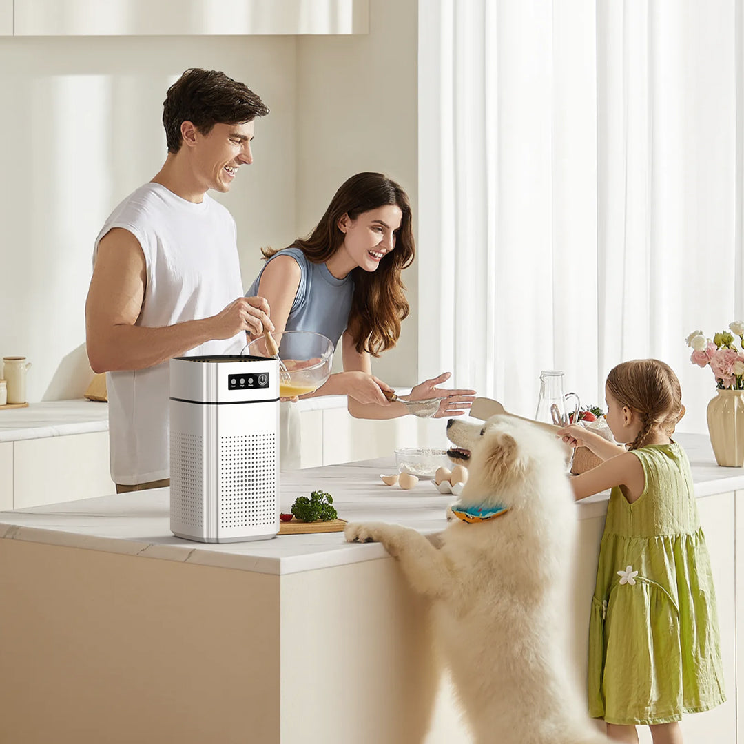 AirFire: Breathe Clean, Live Fresh – Perfect Air & Humidity Control!